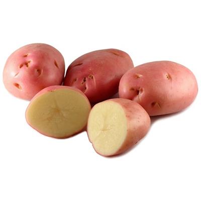 Vegetables - Watson & Pratt's