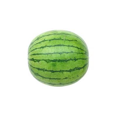 Buy Watermelon Mini - Organic (~1.2kg) - Watson & Pratt's