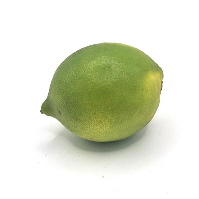 Fruit - Watson & Pratt's