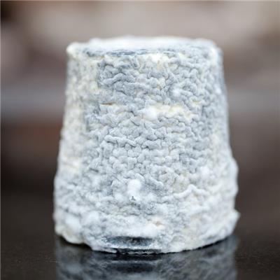 Cheese Counter - Watson & Pratt's